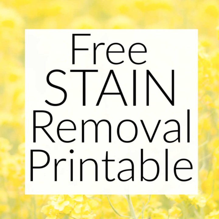 Laundry Stain Removal Cheat Sheet Printable - Cut the Grime